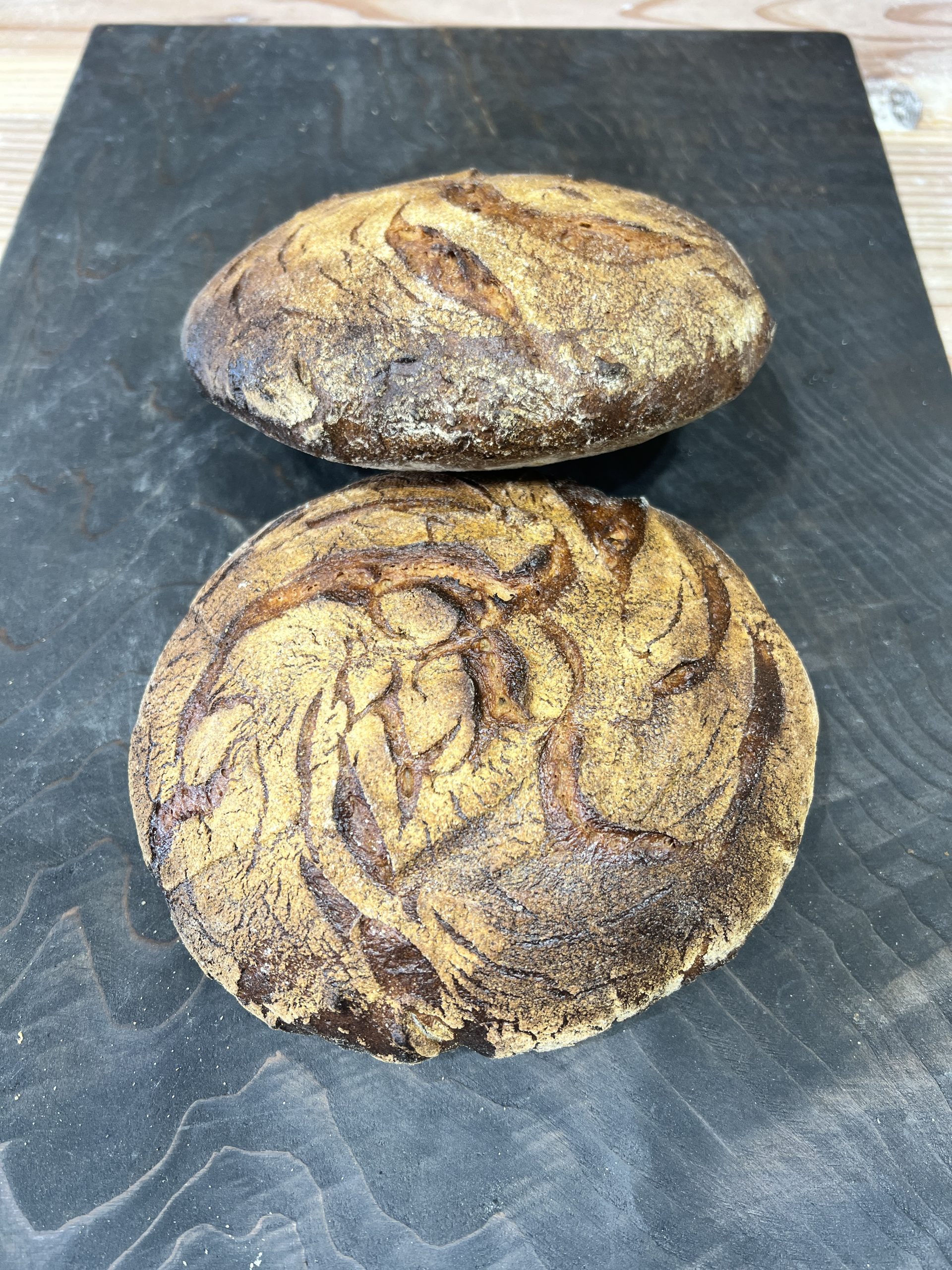 Engrain／一粒小麦 - Trois Pain | トロワパン